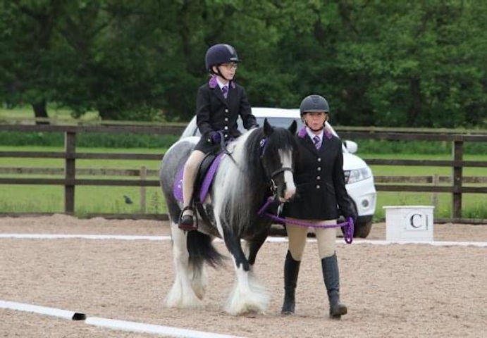 RDA North West Regional Show a huge success!