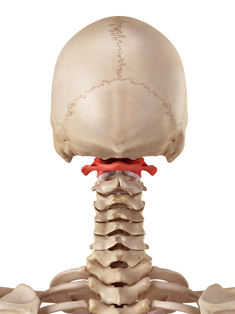 Atlas Orthogonal: Cranial Techniques for Head & Neck Pain