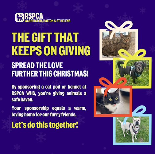 RSPCA Warrington, Halton and St Helens | Animal Rehabilitation | RSPCA ...