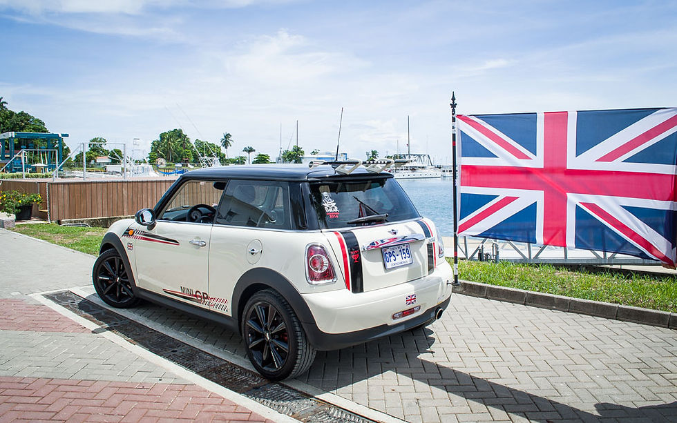 Bandera para autos