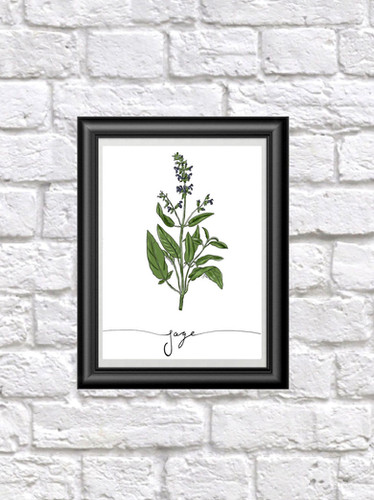 Sage | Tinted Rose Designs