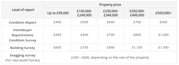 Everything you need to know about House Surveys