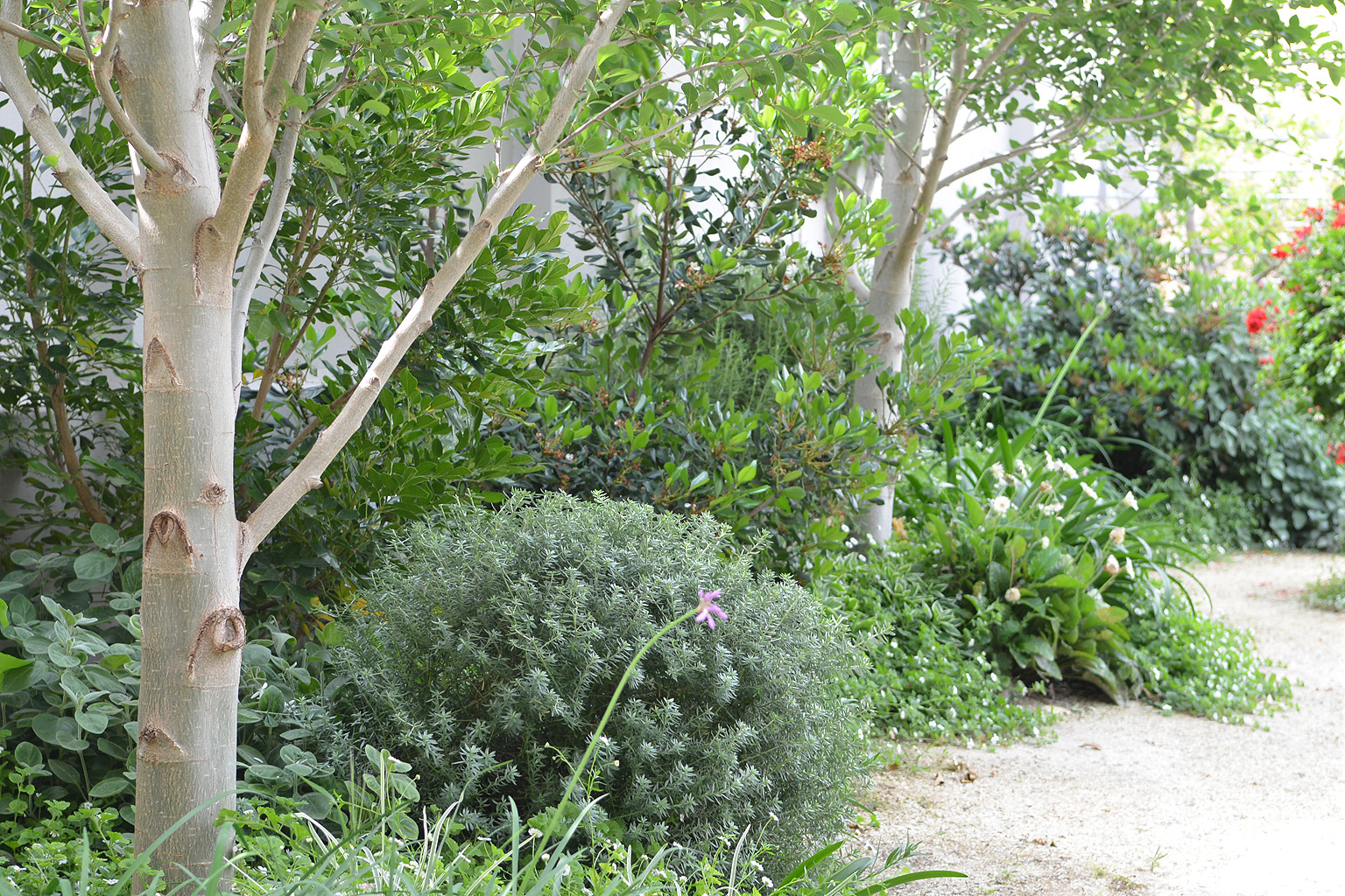 Landscapers Perth | Cottesloe | Naturescape Creative Landscaping