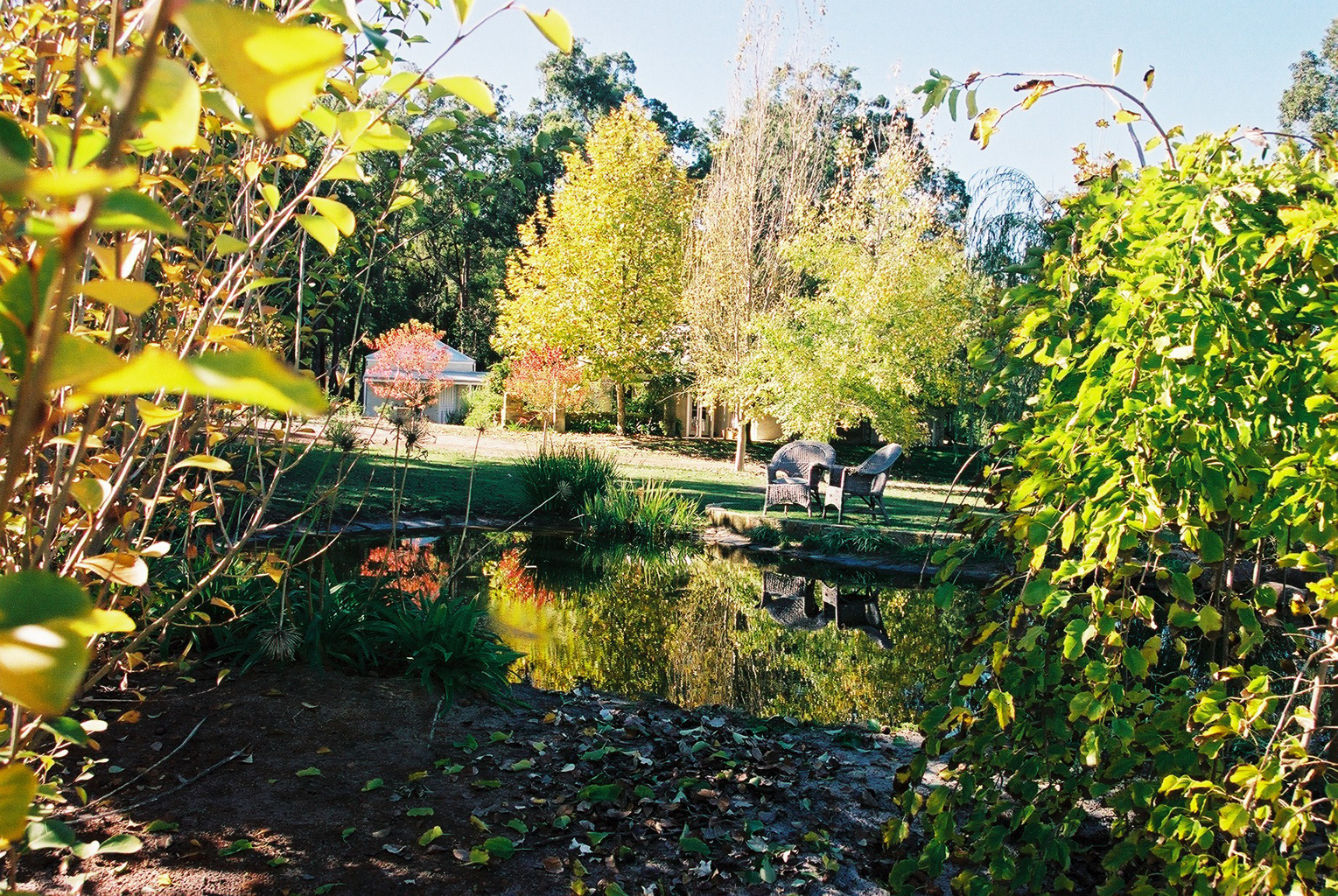 Garden Design | Naturescape Creative Landscaping | Timeles Gardens