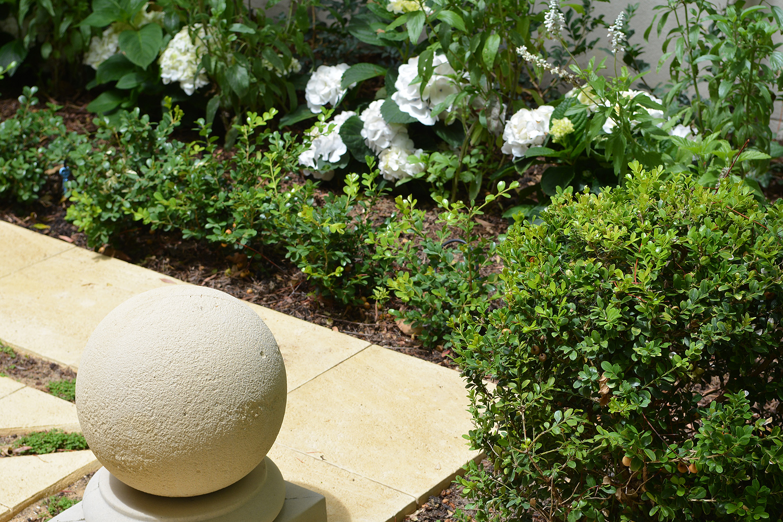 Landscaping Perth | Cottesloe | Naturescape Creative Landscaping