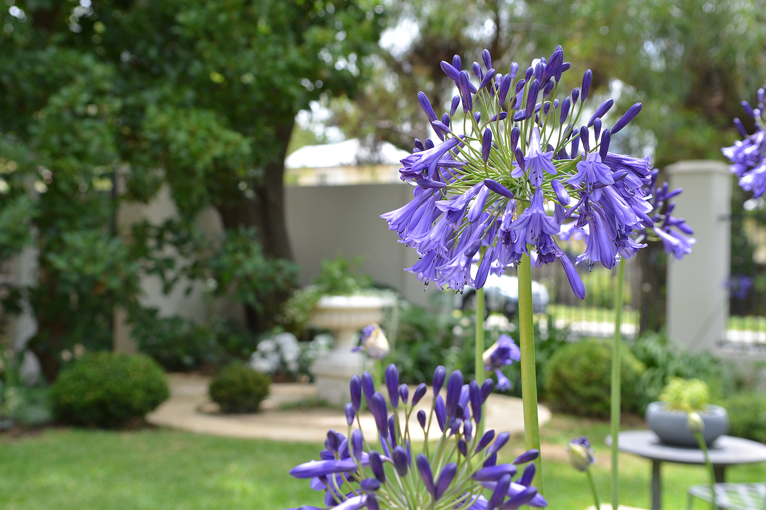 Landscaping Perth | Cottesloe | Naturescape Creative Landscaping