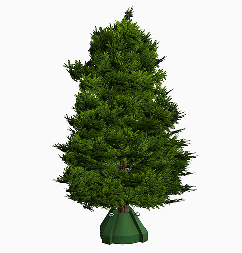 NASH CHRISTMAS TREE KIT | homegrown