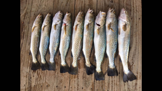 Bay Fishing | United States | South Padre Island Water Sports