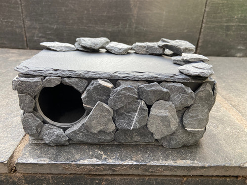 Wet Box Small | Birmingham Reptiles