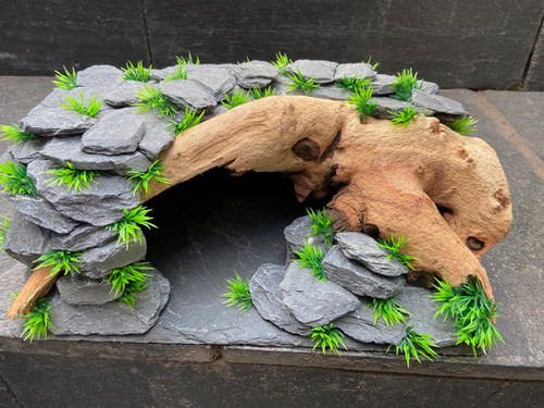 Corner Hide with Wood | Birmingham Reptiles