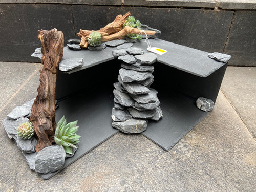 L Shaped Corner Hide | Birmingham Reptiles