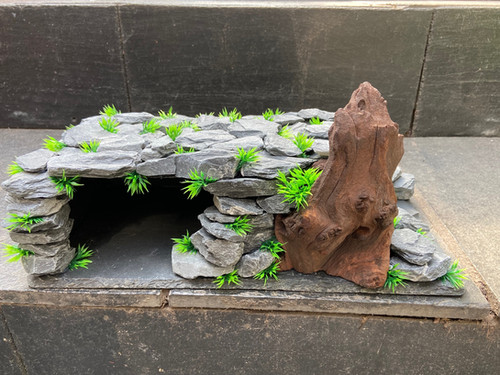 Large Hide with Wood | Birmingham Reptiles