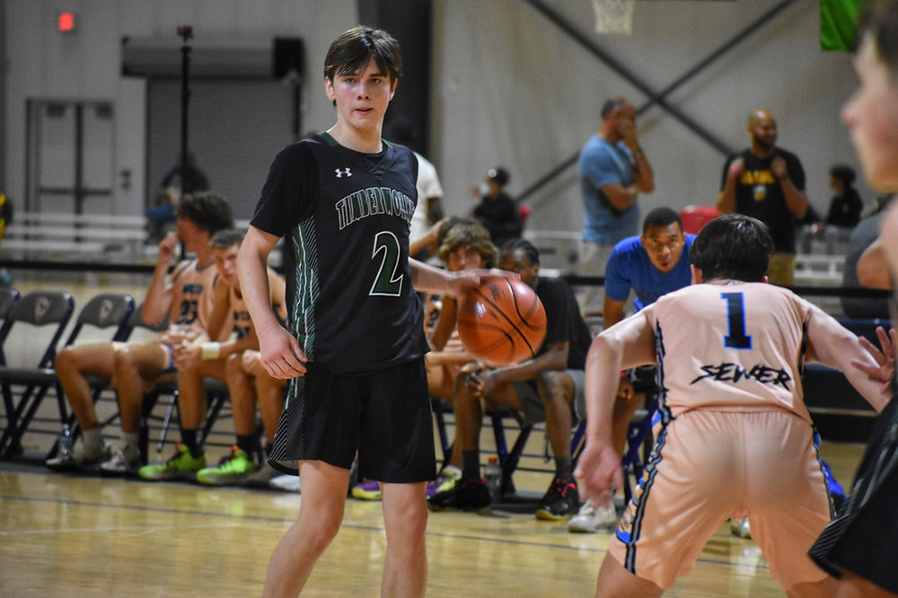 Georgia 2025 Travel Series Stock Risers