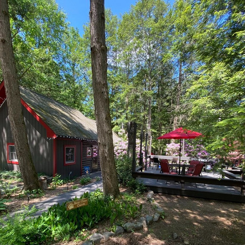 Bear Claw Cabin | Babbling Brook