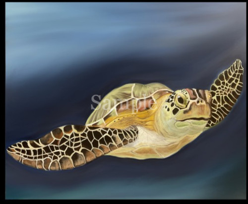 Fran Ballard Turtle | Turner Rowe Art Cent