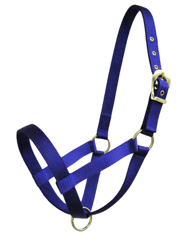 Cow Halters Solid Colors | ronmar-equine