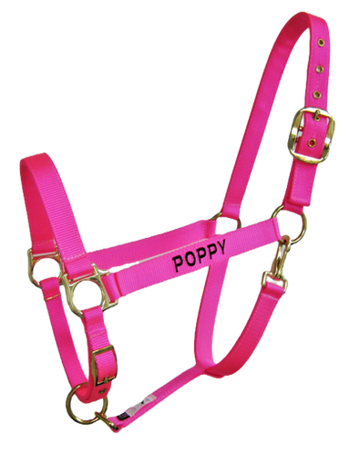 Personalized Halters Block Font | ronmar-equine