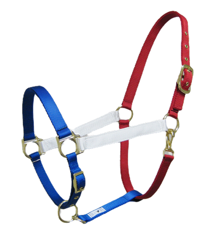 Red-White-Blue | ronmar-equine