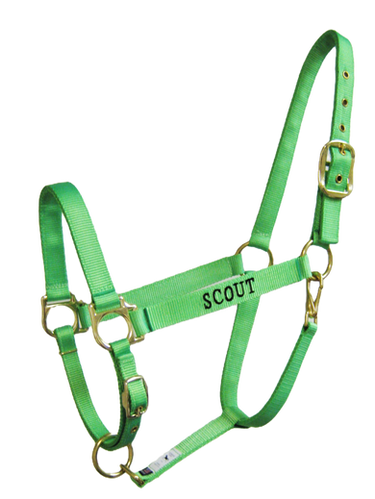 Personalized Halters Roman Font | ronmar-equine