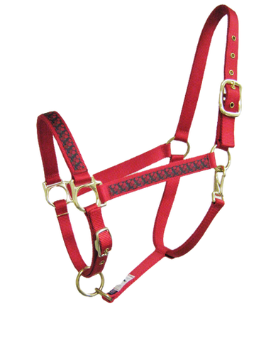 Roses | ronmar-equine