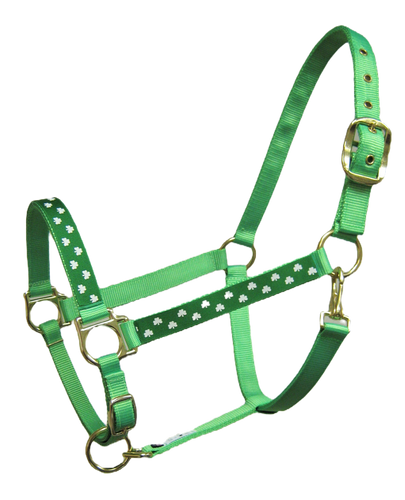 Shamrocks | ronmar-equine