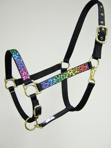 Rainbow Leopard | ronmar-equine