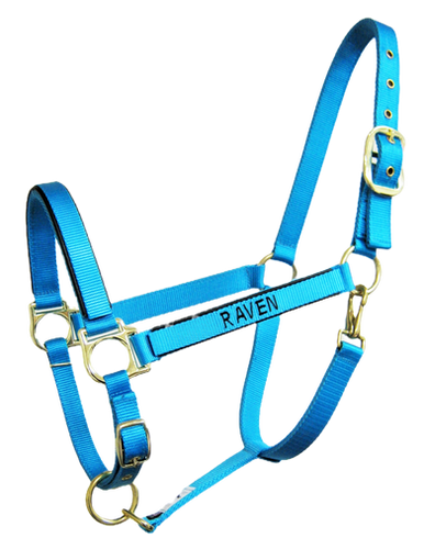 Personalized Halter with Black Piping | ronmar-equine