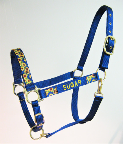 Personalized Trimmed Halters | ronmar-equine