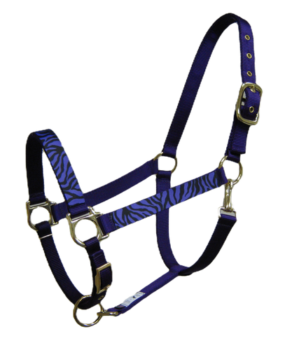 Purple Zebras | ronmar-equine