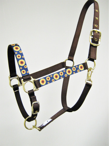 Sunflower | ronmar-equine