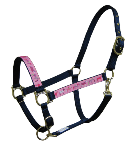 Horses with Blankets | ronmar-equine