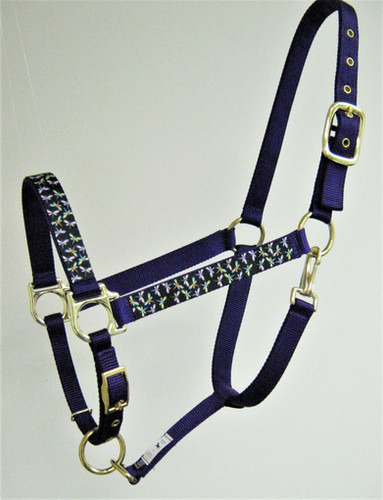 Dragonflies | ronmar-equine