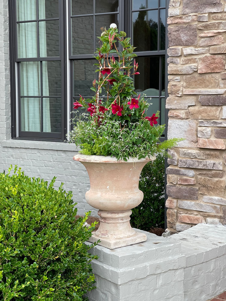 Designer tips for planting a container!!!