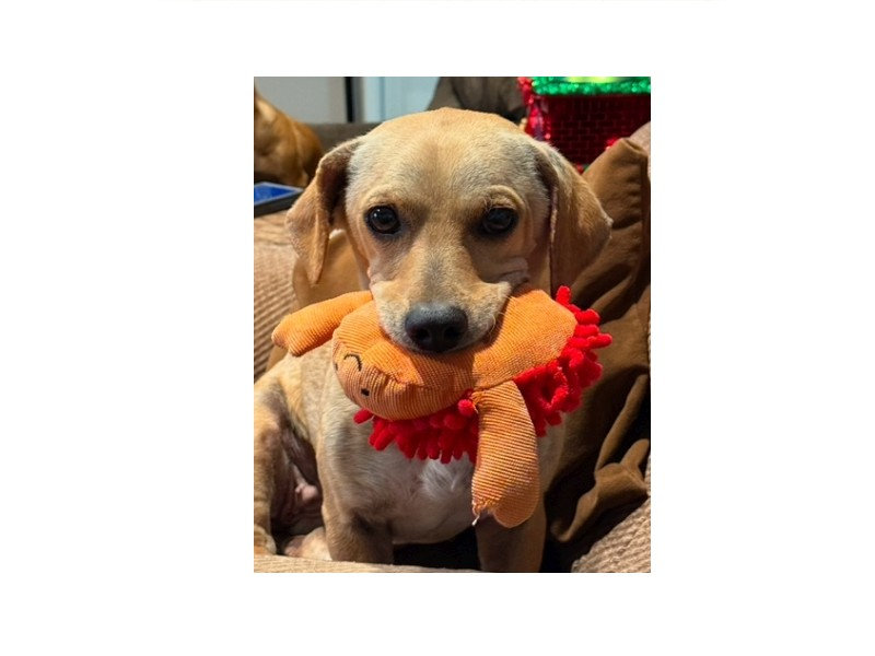Emmie