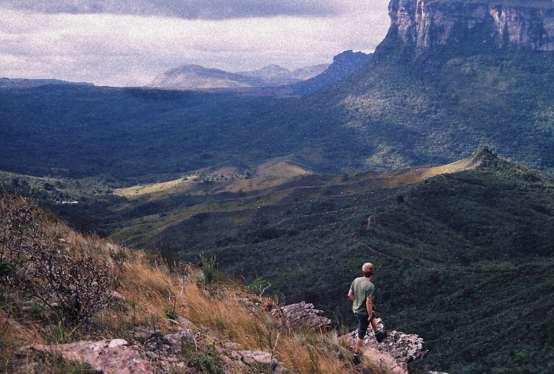 Kalapa | Journeys in Reconnection