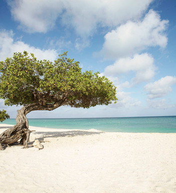 About us | Aruba Blue Village