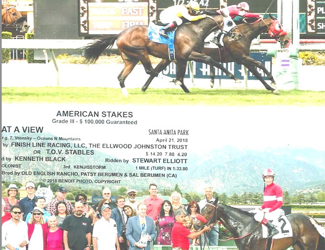 What A View | Taste Of Victory Stables