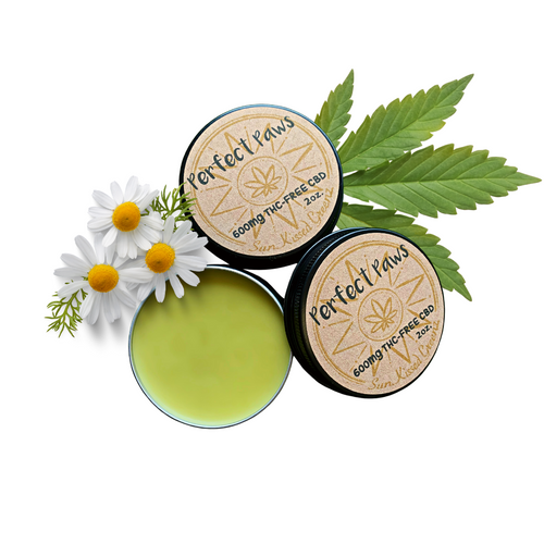 600mg Perfect Paws Salve & Moisturizer | SunKissed Greenz
