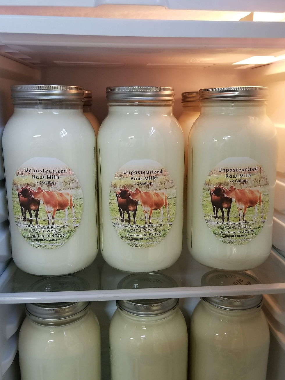 Raw Unpasturized Milk 1/2 gallon | Gallup Family Farms