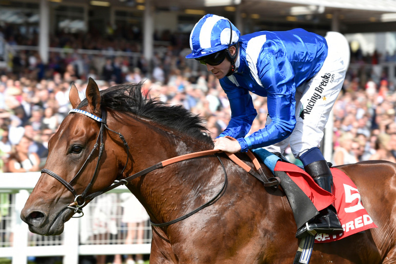 Gallery | Owen Burrows Racing | Lambourn