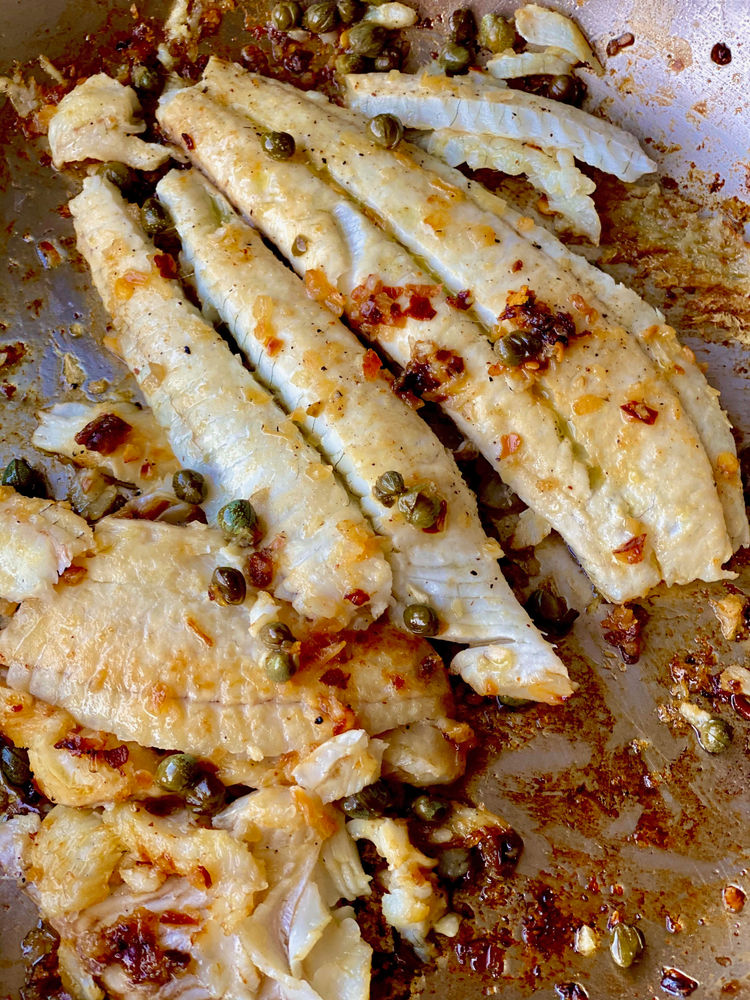 Lemon Sole