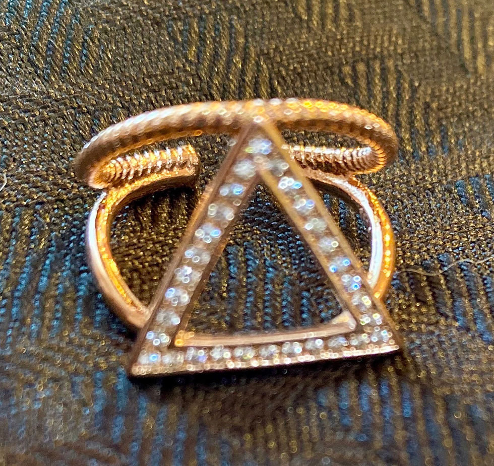 Delta Sigma Theta Other Accessories | itsgreektome