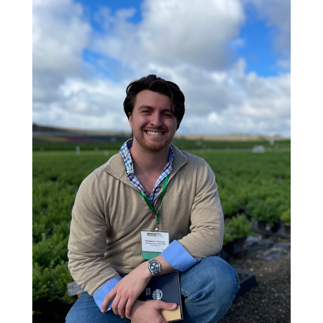 Soilless Substrate Stratification- Enabling Nursery Producers to Grow ...