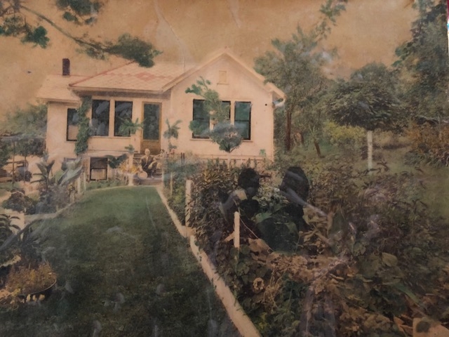 Mid-town farm: Johann family keeps ag legacy alive 150+ years