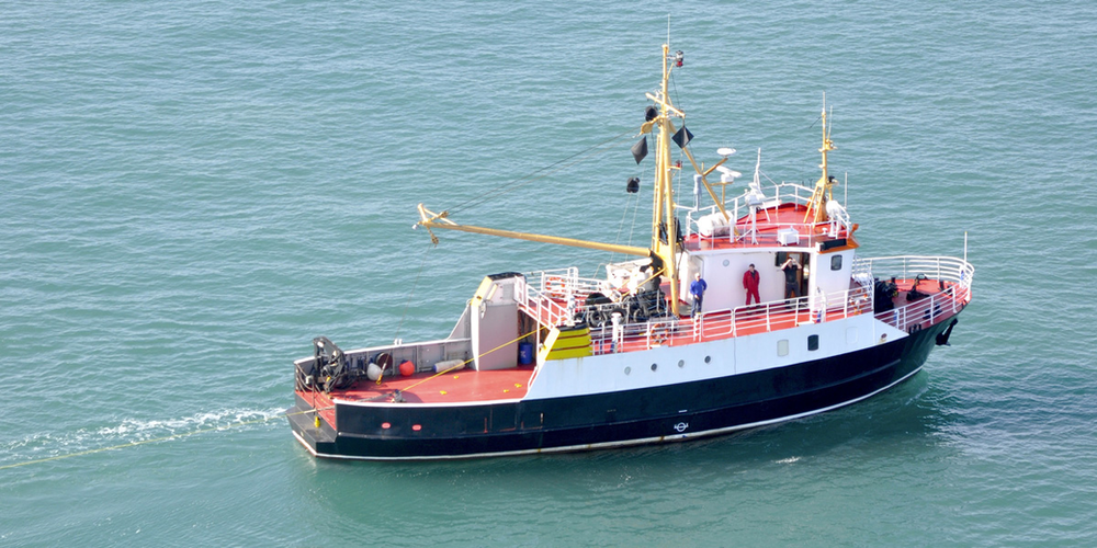 Small work boat for sale