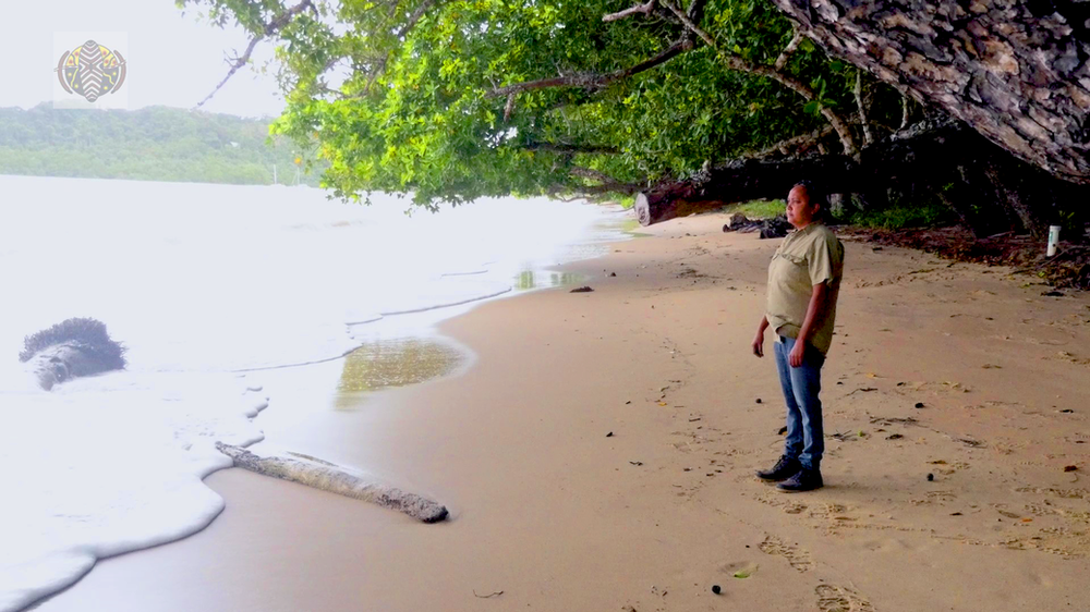 WWF Oceania's First Voices Video - Girringun IPA