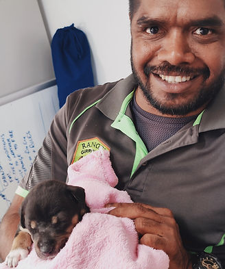 Girringun Campaign | GIRRINGUN