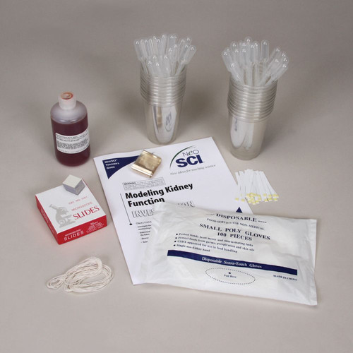 Modeling Kidney Function Lab Investigation Kit | Carolina Singapore