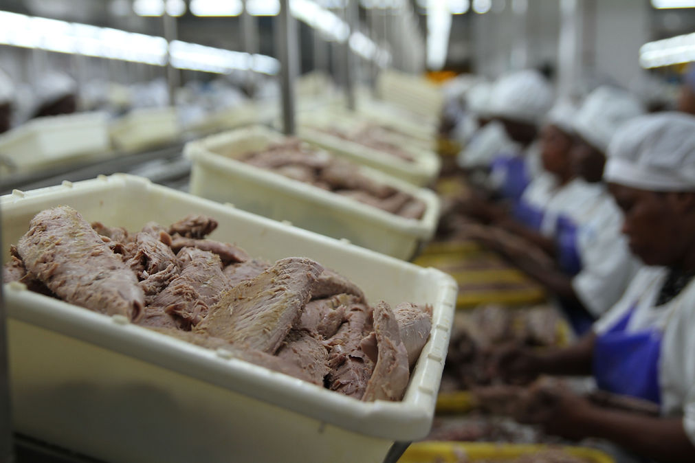 Home [www.cosmoseafoods.com]