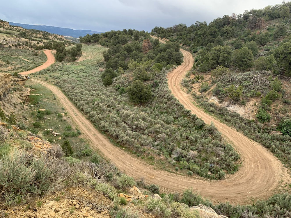 Rally Colorado: What You Need to Know